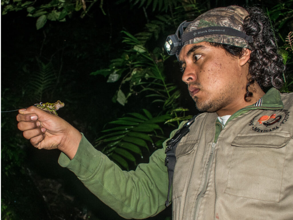 Nuestro Equipo – Amet Conservancy Foundation